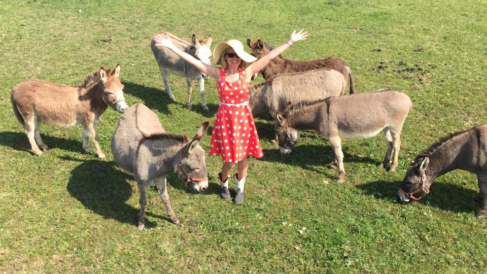 Ohio farm rescues adorable mini donkeys - Buzz Videos