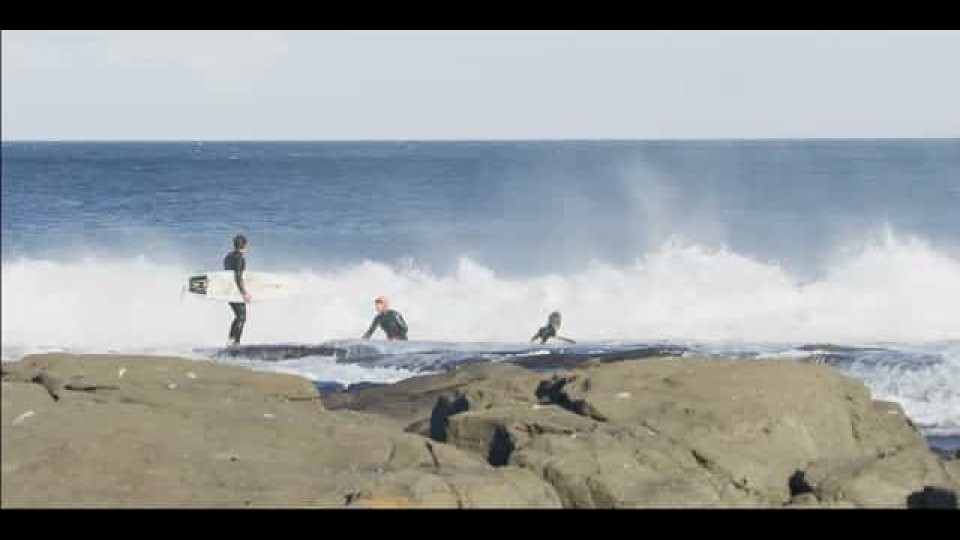 Great White Shark Chases Surfers Out of the Water - Buzz Videos