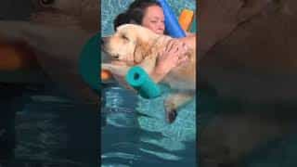 Using Pool Noodles to Keep Golden Floating While Cuddling - Buzz Videos