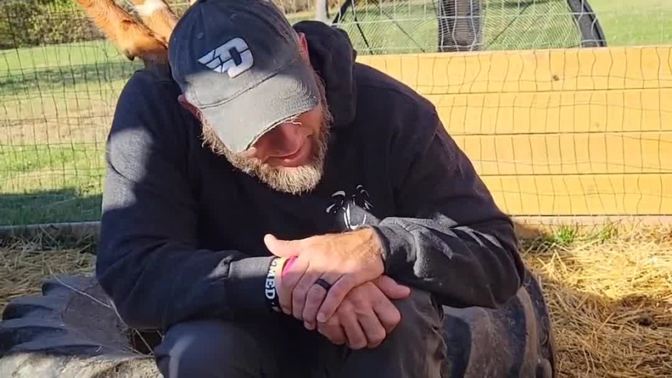 Goat Grabs Guy's Hat - Buzz Videos