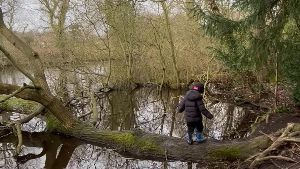 Boy's Tree Climbing Adventure Ends With a Splash - Buzz Videos