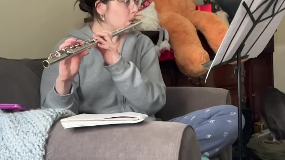 What It's Like to Play the Flute When You Have Cats - Buzz Videos
