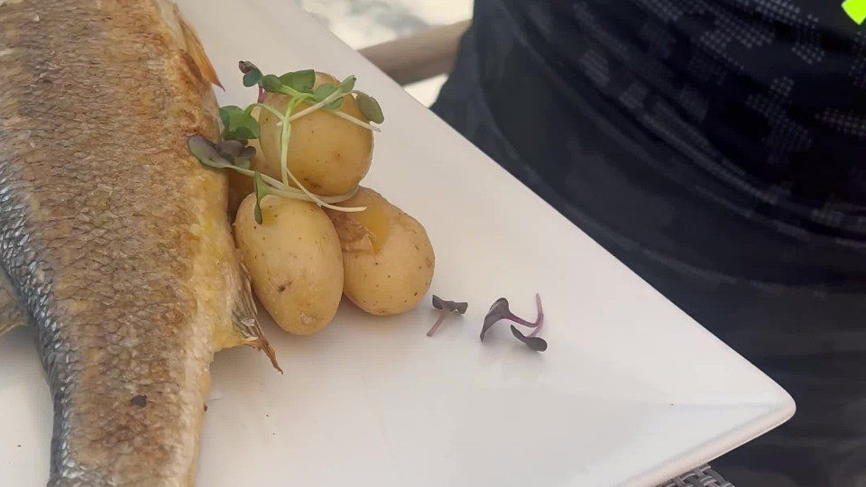 Hungover Irishman Didn't Expect Full Fish - Buzz Videos