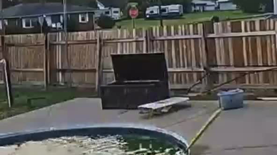 Swing, Batter Batter, Right Into The Pool - Buzz Videos