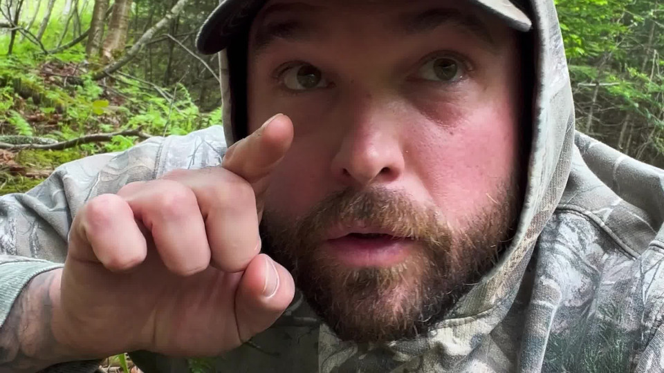 Coyote Puppies Yawn and Play - Buzz Videos