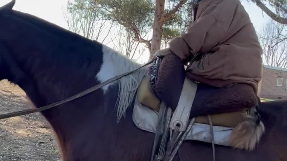 A Dog and His Steed - Buzz Videos