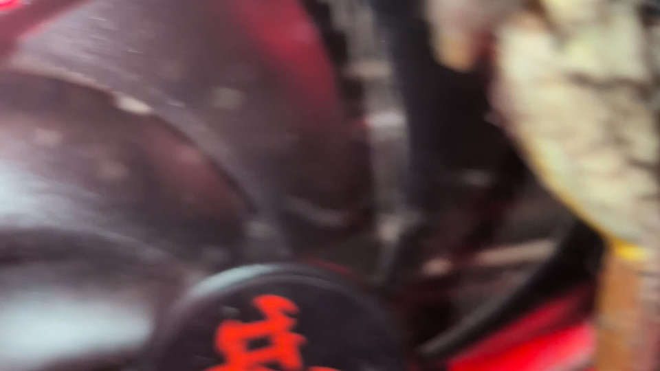 Dusty Frog Found In PC - Buzz Videos