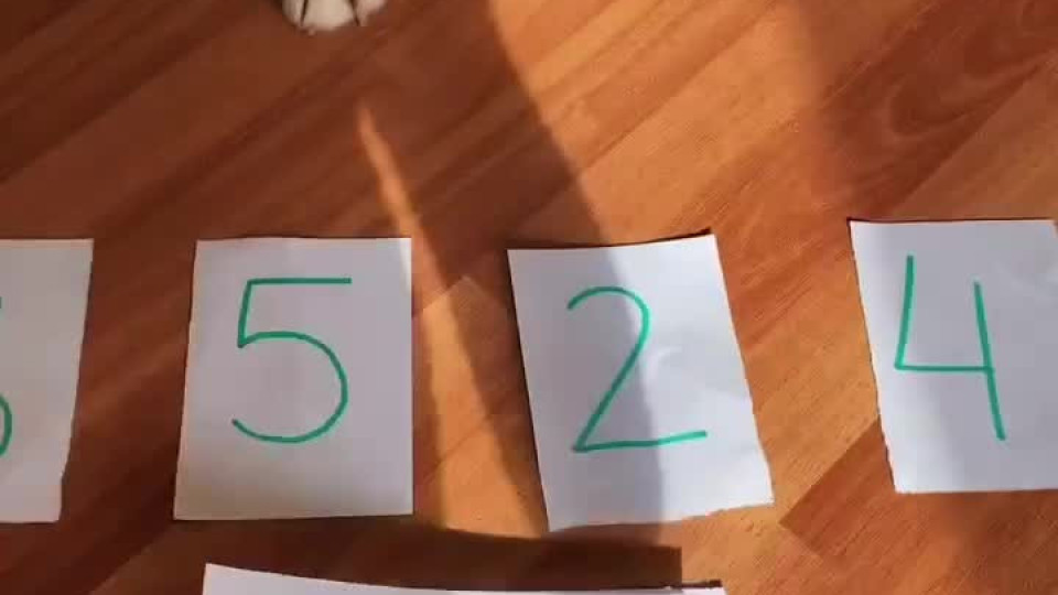 Brainy Beagle Solves Math Problems - Buzz Videos