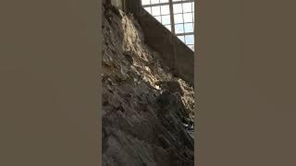 Entire Wall Of Giant Dinosaur Fossils - Buzz Videos