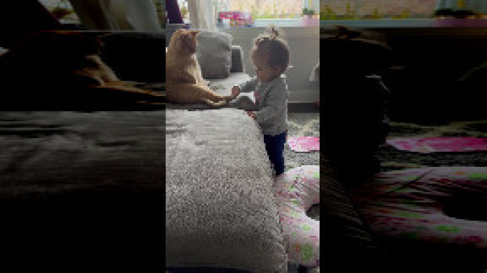 Girl Nibbles Cat's Toe Beans - Buzz Videos